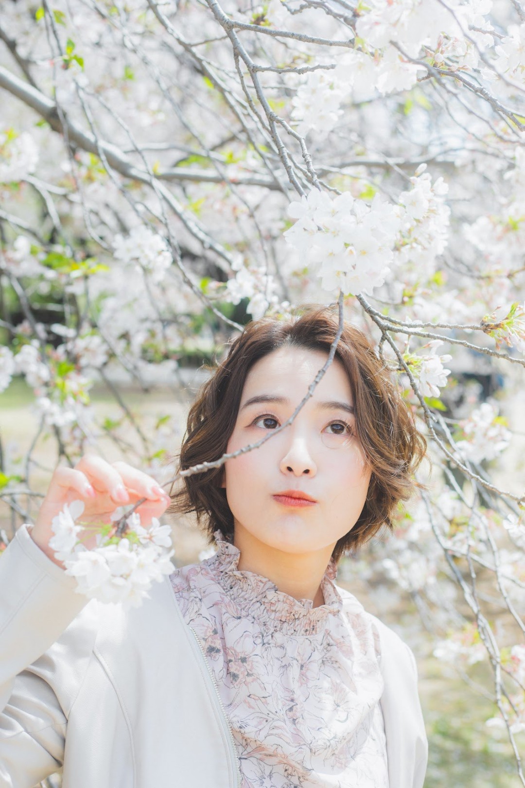 向井蓝(向井藍,Mukai Ai)- 图片 - xb1