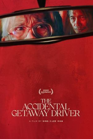 《The Accidental Getaway Driver》2025电影在线观看完整版剧情 - xb1