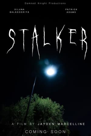 《STALKER》2024电影在线观看完整版剧情 - xb1