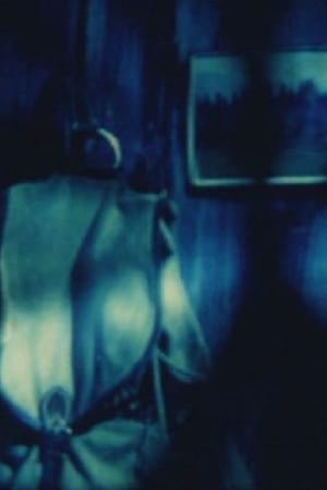 《Eastmans Reisen》1981电影在线观看完整版剧情 - xb1