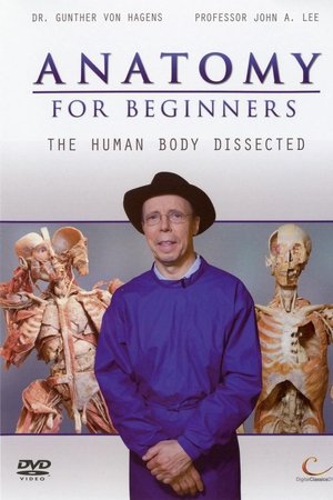 《Anatomy for Beginners》2005电视剧集在线观看完整版剧情 - xb1