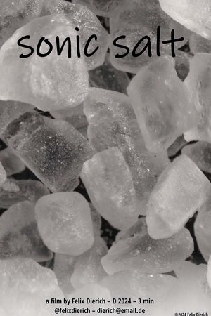 《sonic salt》2025电影在线观看完整版剧情 - xb1