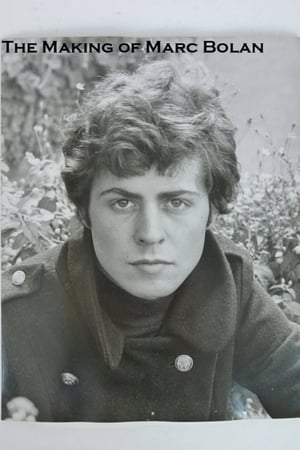 《The Making of Marc Bolan》2017电影在线观看完整版剧情 - xb1