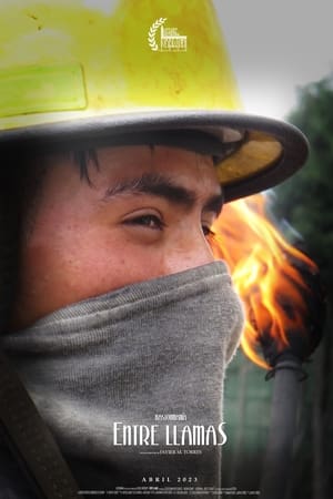 《Entre llamas》2023电影在线观看完整版剧情 - xb1