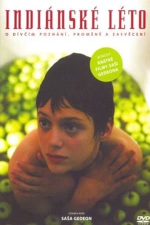 《印第安夏日》1995电影在线观看完整版剧情 - xb1