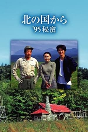 《北国之恋 '95秘密》1995电影在线观看完整版剧情 - xb1