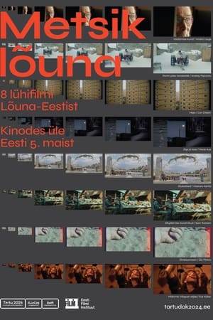 《Metsik lõuna》2024电影在线观看完整版剧情 - xb1