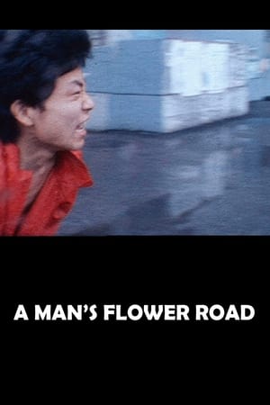 《男の花道》1987电影在线观看完整版剧情 - xb1