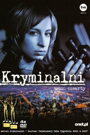 《Kryminalni第4季》2006电视剧集在线观看完整版剧情 - xb1