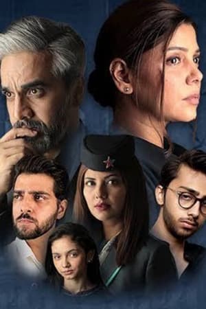 《Pinjra》2022电视剧集在线观看完整版剧情 - xb1