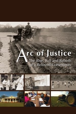 《Arc of Justice》2016电影在线观看完整版剧情 - xb1