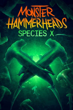 《Monster Hammerheads: Species X》2024电影在线观看完整版剧情 - xb1