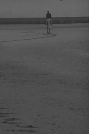 《Europa 1900》1968电影在线观看完整版剧情 - xb1