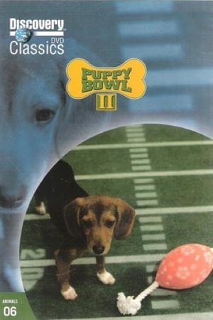《Puppy Bowl第2季》2006电视剧集在线观看完整版剧情 - xb1