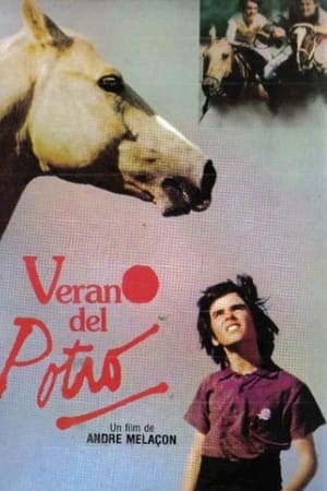 《El verano del potro》1991电影在线观看完整版剧情 - xb1