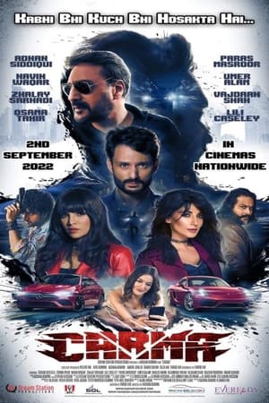 《Carma》2022电影在线观看完整版剧情 - xb1