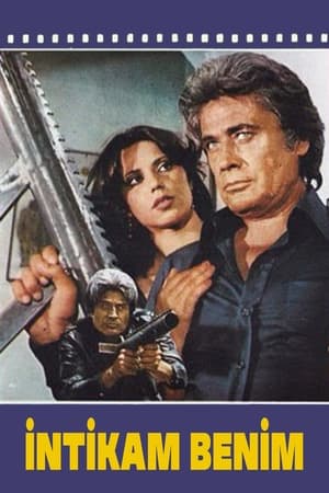 《İntikam Benim》1983电影在线观看完整版剧情 - xb1