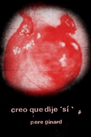 《Creo que dije «sí»》2025电影在线观看完整版剧情 - xb1