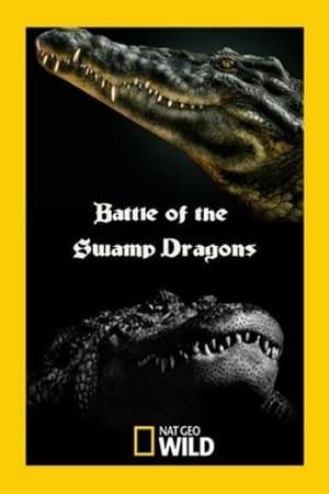《Battle Of The Swamp Dragons》2017电视剧集在线观看完整版剧情 - xb1