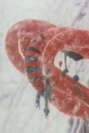 《Derakht-e-jan》1998电影在线观看完整版剧情 - xb1