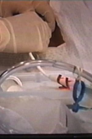 Body) Part One》2003电影在线观看完整版剧情 - xb1