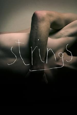 《Strings》2012电影在线观看完整版剧情 - xb1