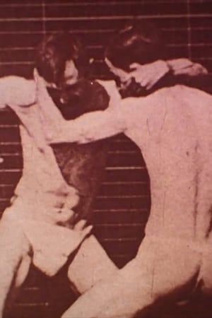 《Animals in Motion》1968电影在线观看完整版剧情 - xb1