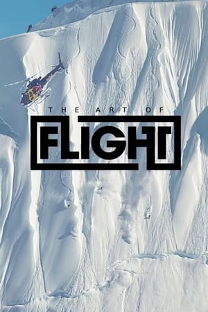 《Art of Flight: The Series》2012电视剧集在线观看完整版剧情 - xb1