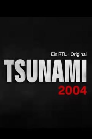 《Tsunami 2004》2024电视剧集在线观看完整版剧情 - xb1