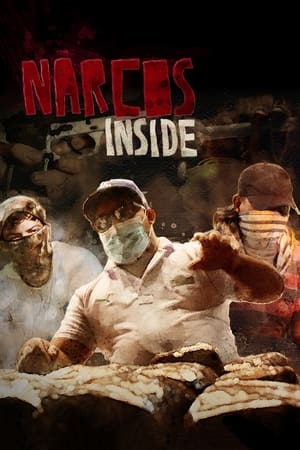 《Narcos Inside - Die Macht der Kartelle》2022电视剧集在线观看完整版剧情 - xb1