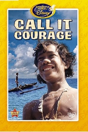 《Call it Courage》1973电影在线观看完整版剧情 - xb1